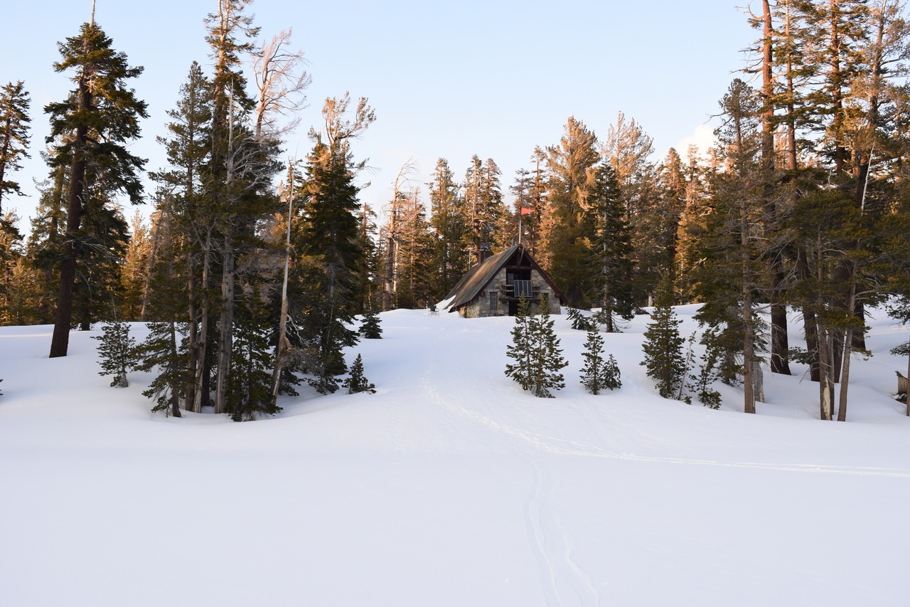 Meet the Team: Howard Weamer — Yosemite Conservancy