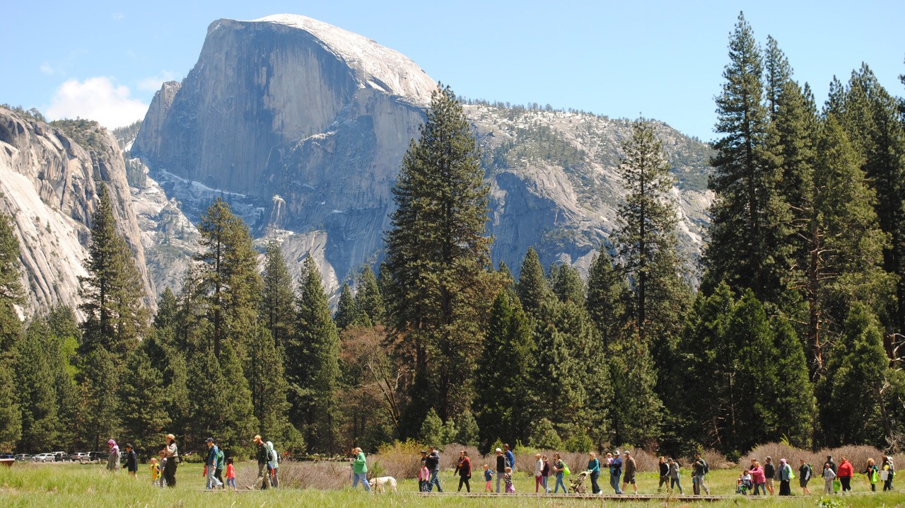Last Year in Yosemite: 2016 — Yosemite Conservancy