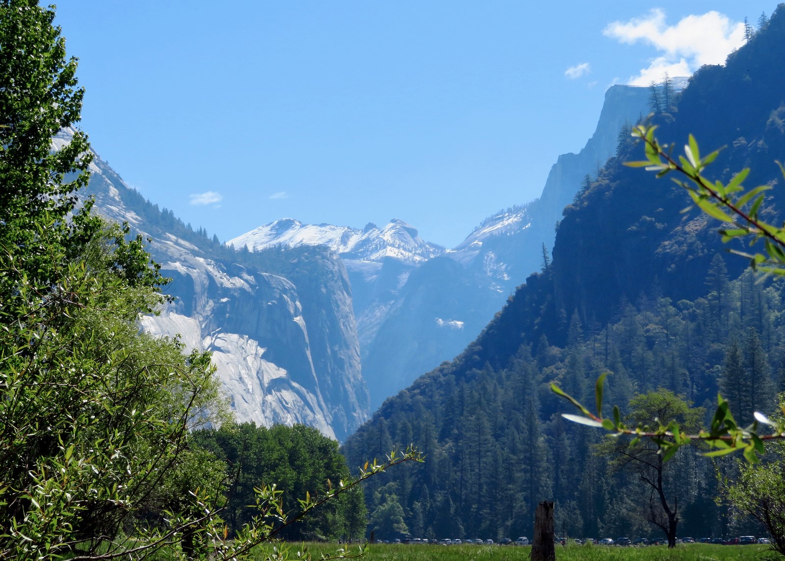 Yosemite Recap: April + May 2019 — Yosemite Conservancy
