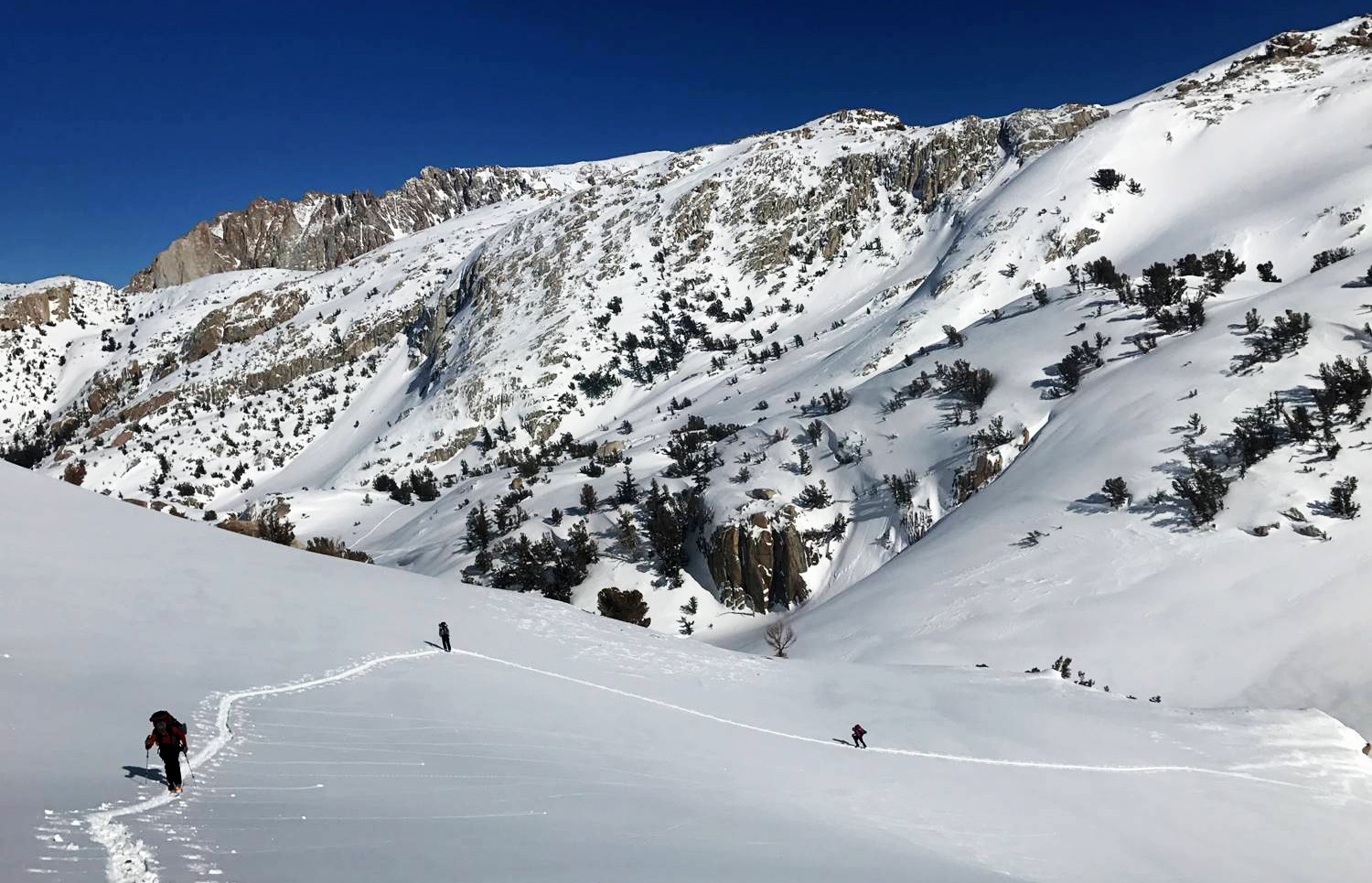 Skiing for Science — Yosemite Conservancy