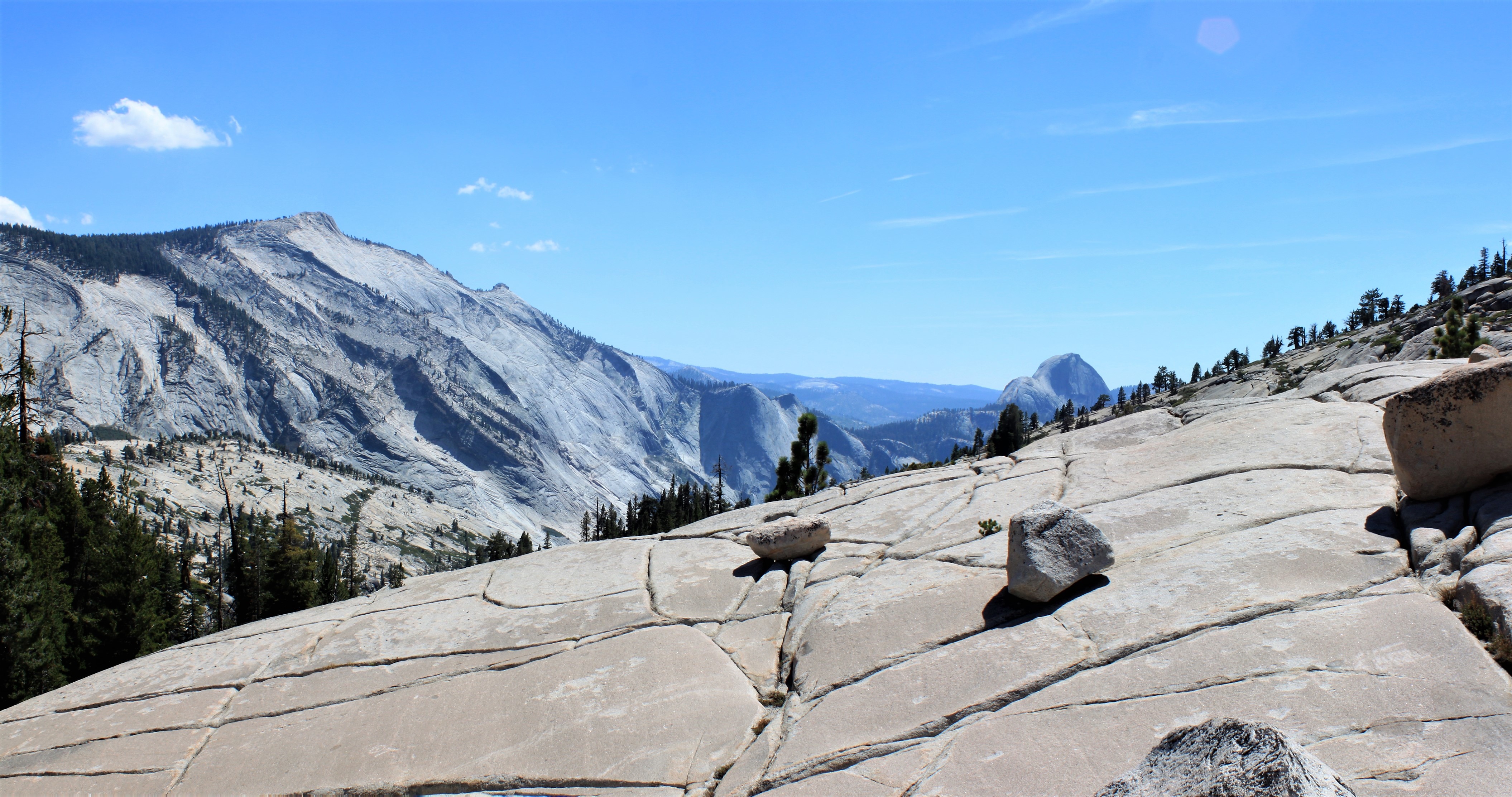 Tales from 25 Years as a Yosemite Volunteer — Yosemite Conservancy
