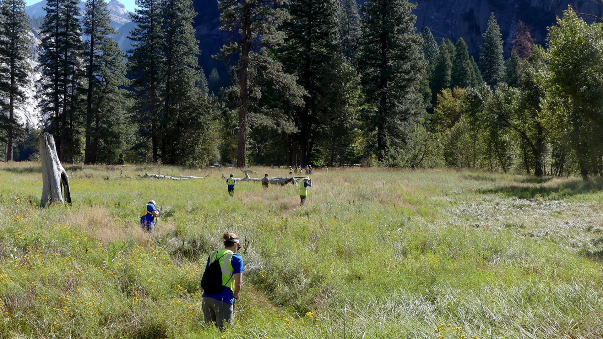 Thank You, Volunteers! — Yosemite Conservancy