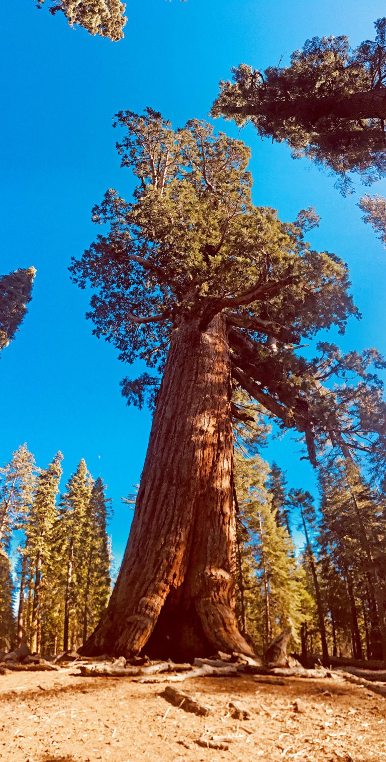 10 Yosemite Landmarks You Can’t Miss! — Yosemite Conservancy