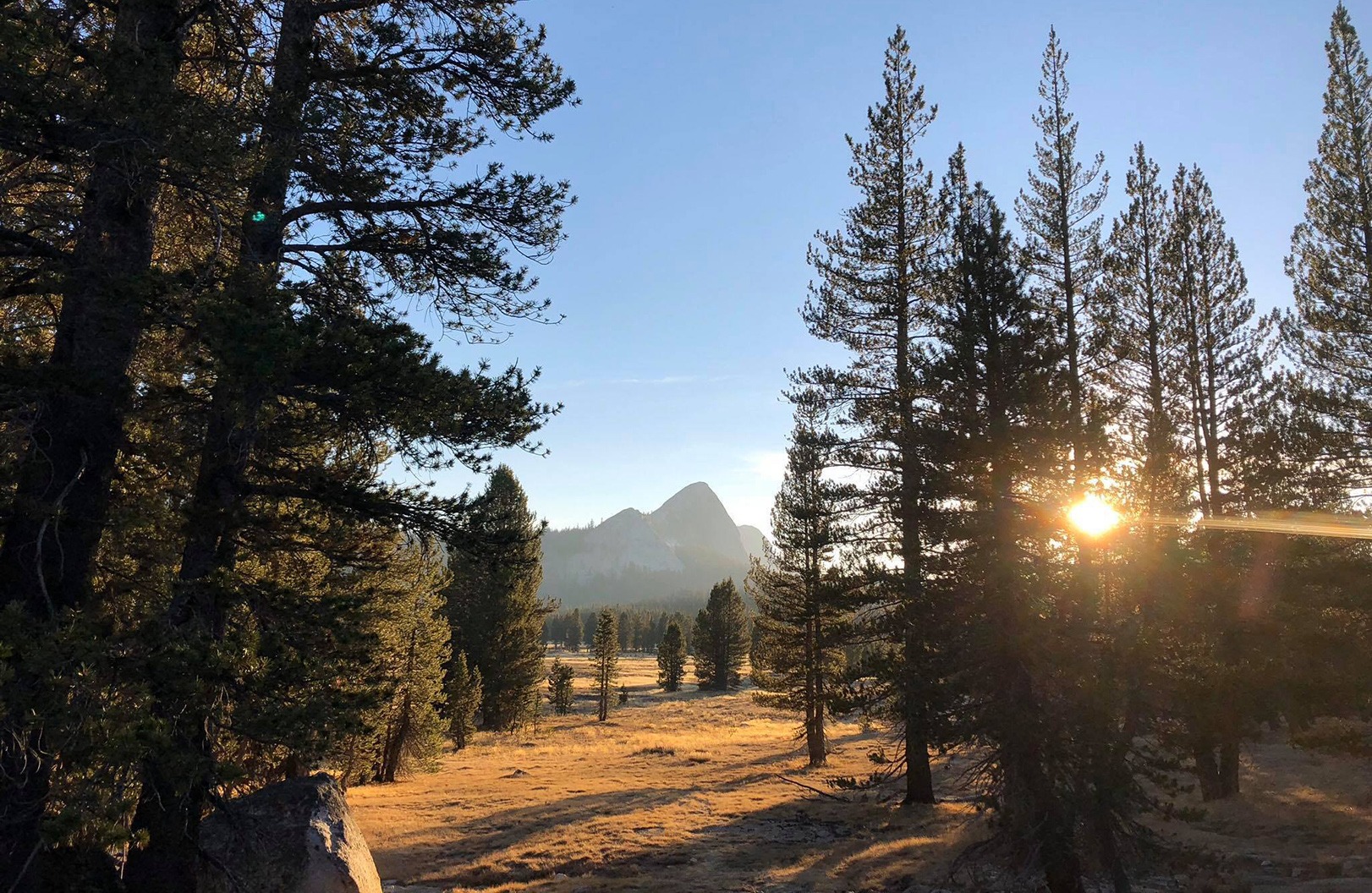 Yosemite, Year-Round — Yosemite Conservancy