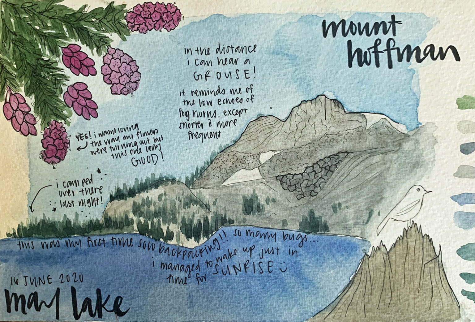 Nature Journaling 101 — Yosemite Conservancy