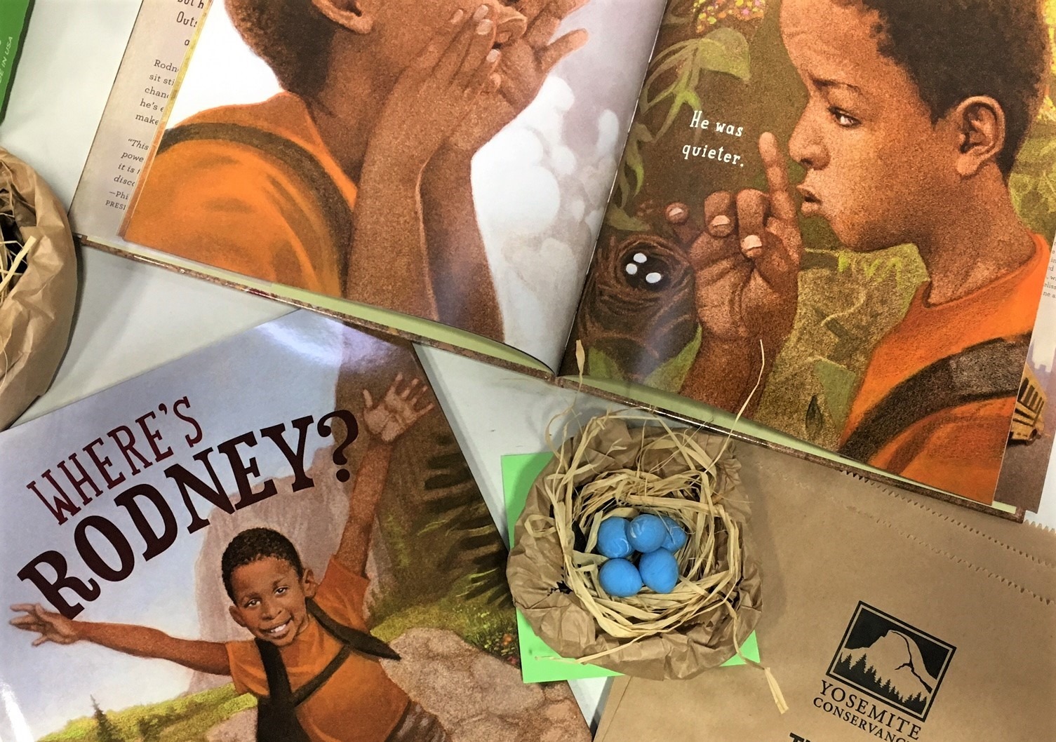 Q&A: Carmen Bogan — Yosemite Conservancy