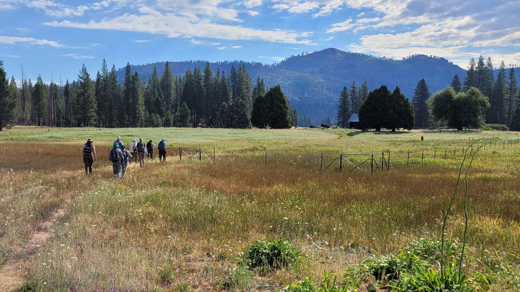 Thank You, Volunteers: Part Two — Yosemite Conservancy