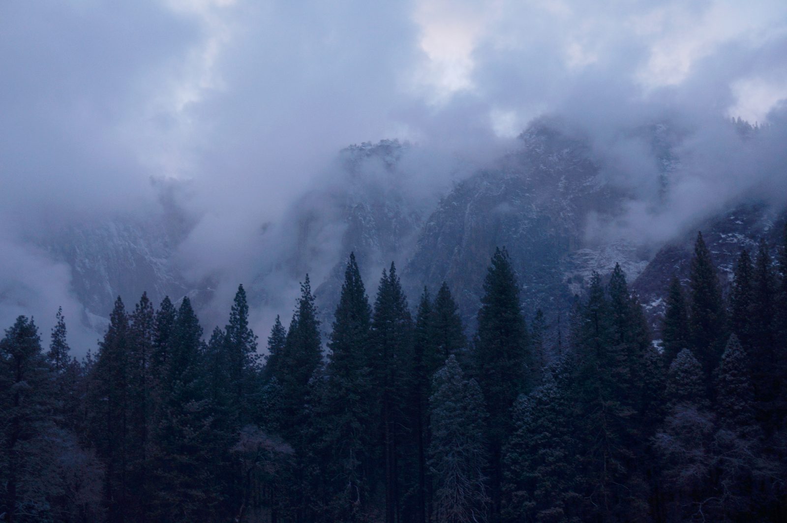 Roger Potash — Yosemite Conservancy