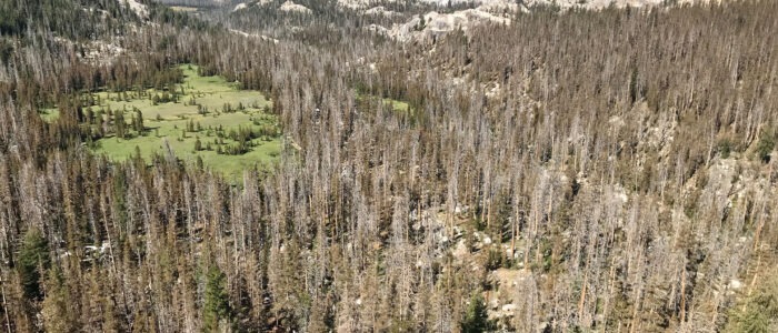 Mapping Technologies: How Lidar Supports Research in Yosemite ...