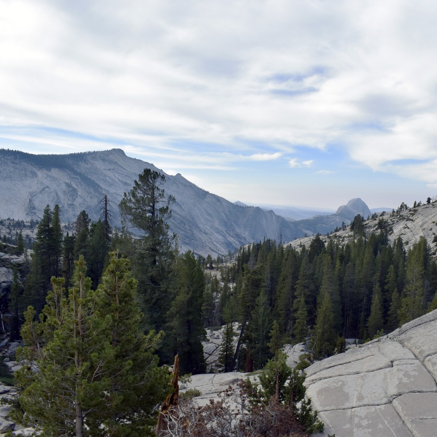 Tioga Road Tips — Yosemite Conservancy