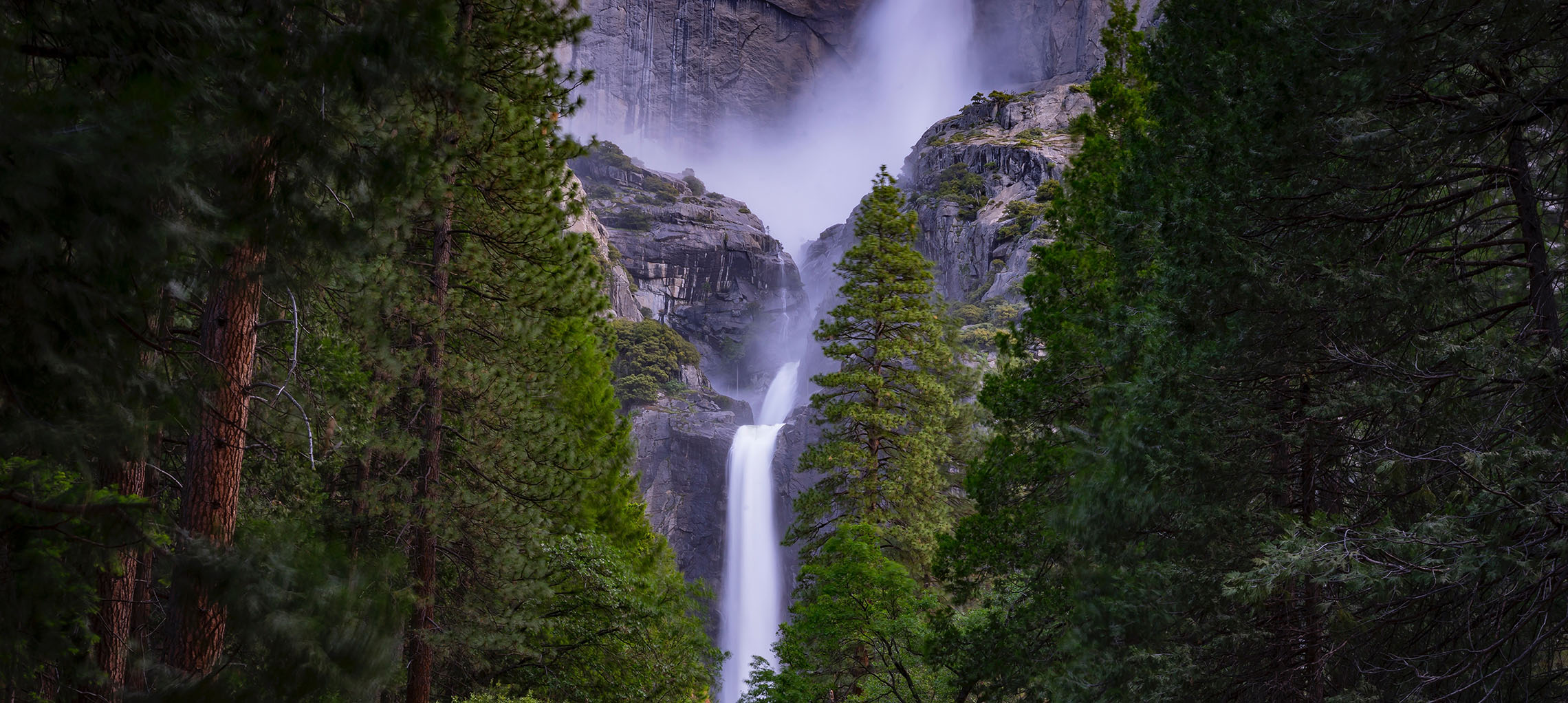 Nurtured by Nature: Yosemite Veterans — Yosemite Conservancy