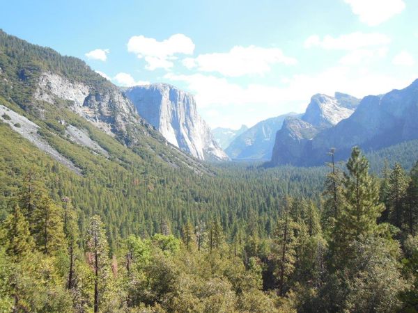 Anonymous — Yosemite Conservancy