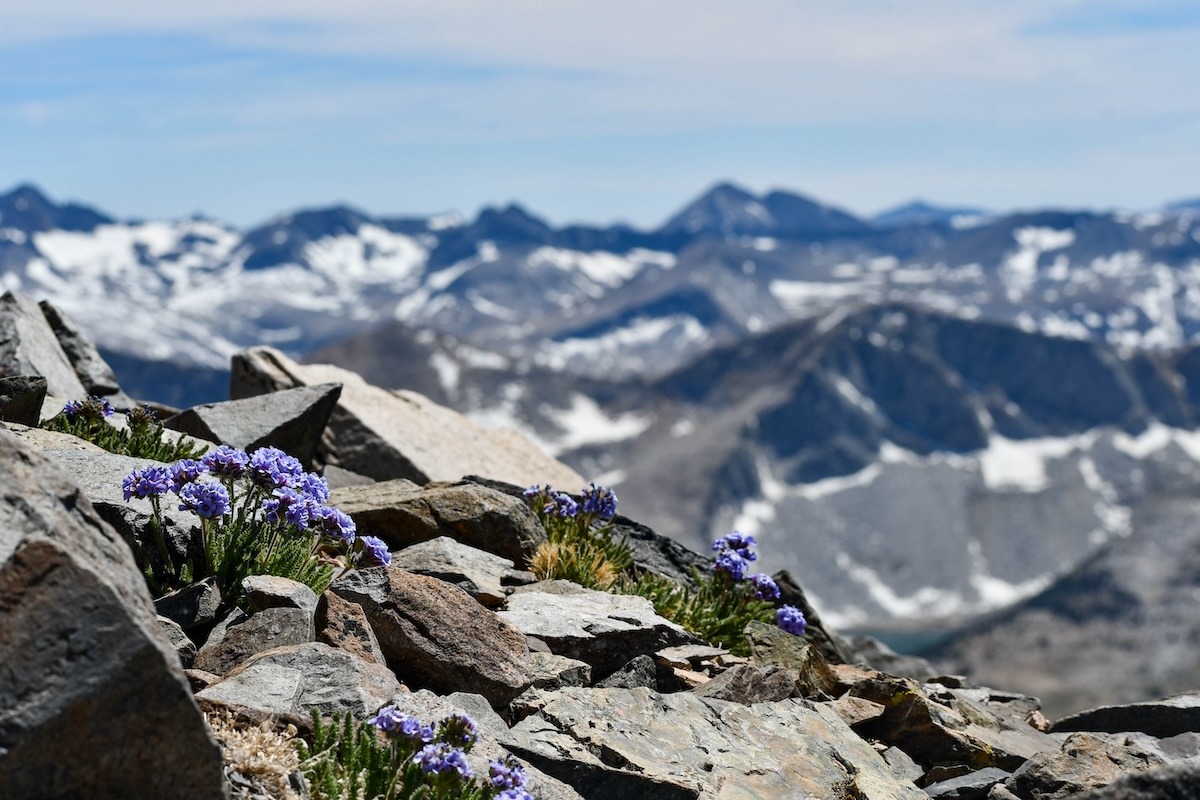 March Mountain Madness — Yosemite Conservancy