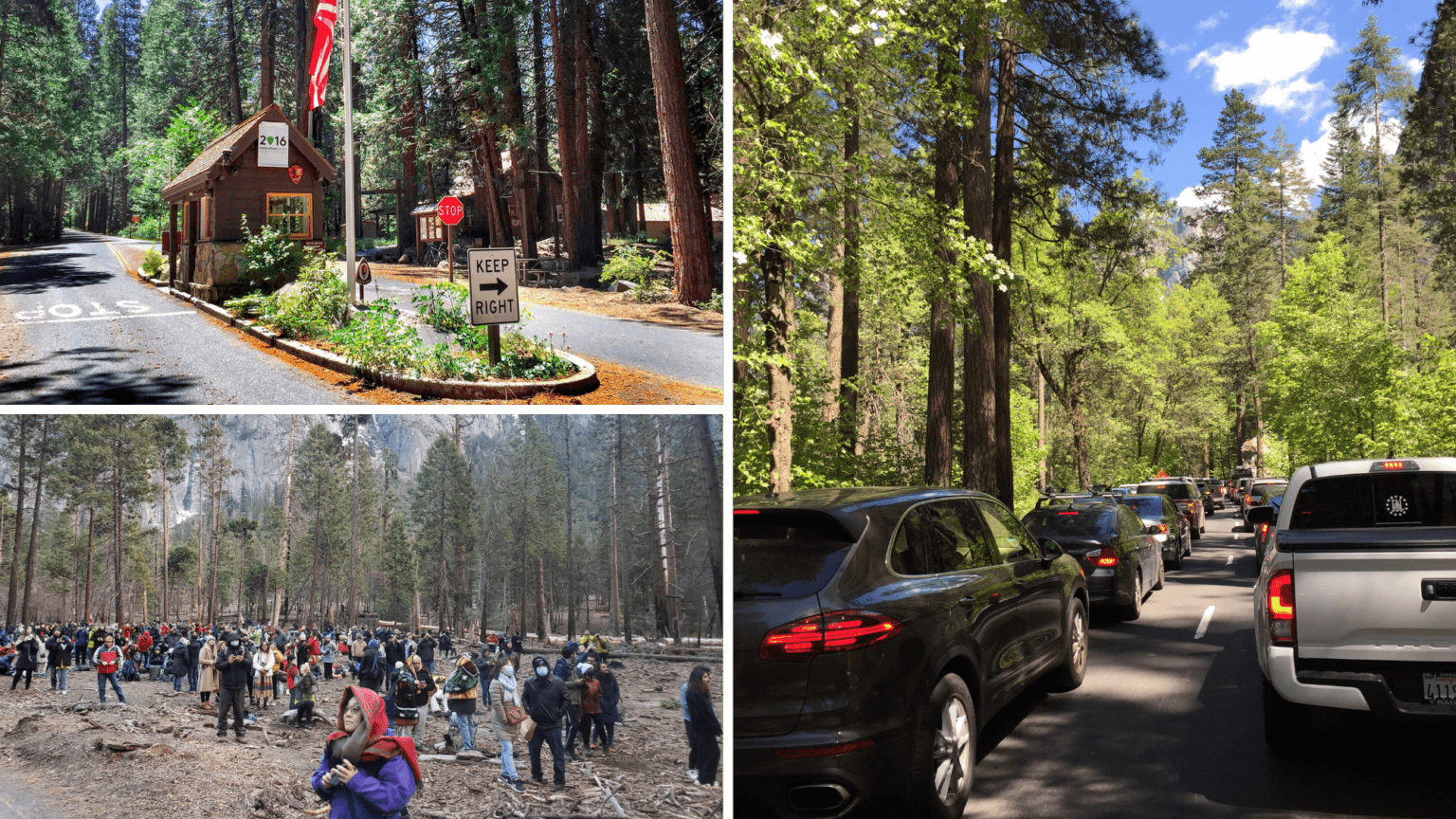 The Beginner's Guide to Yosemite's Draft Visitor Access Management Plan ...