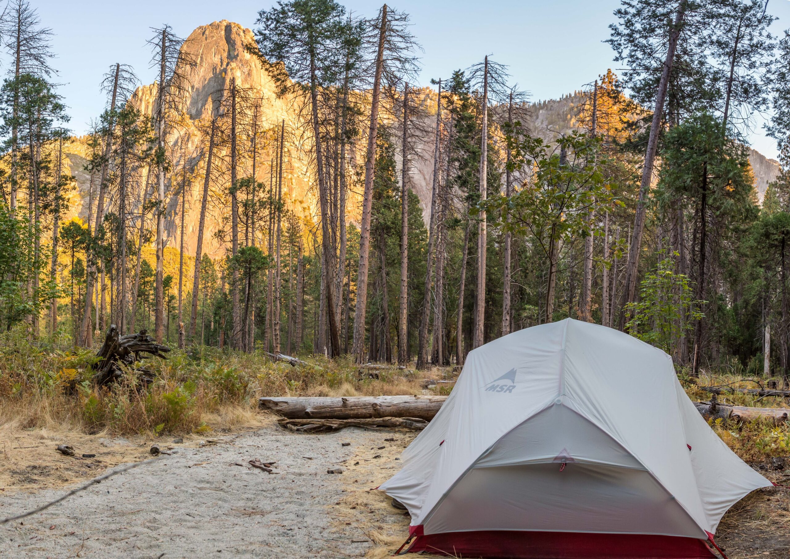 Yosemite Campsite Guaranteed!* — Yosemite Conservancy