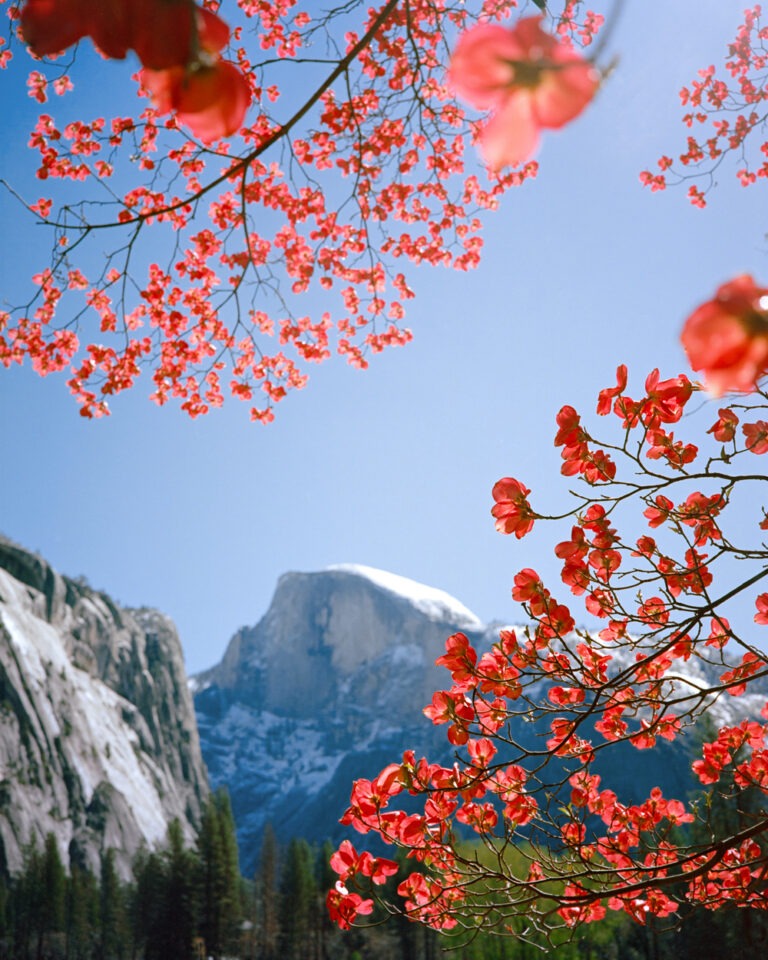 10 Yosemite Landmarks You Can’t Miss! — Yosemite Conservancy