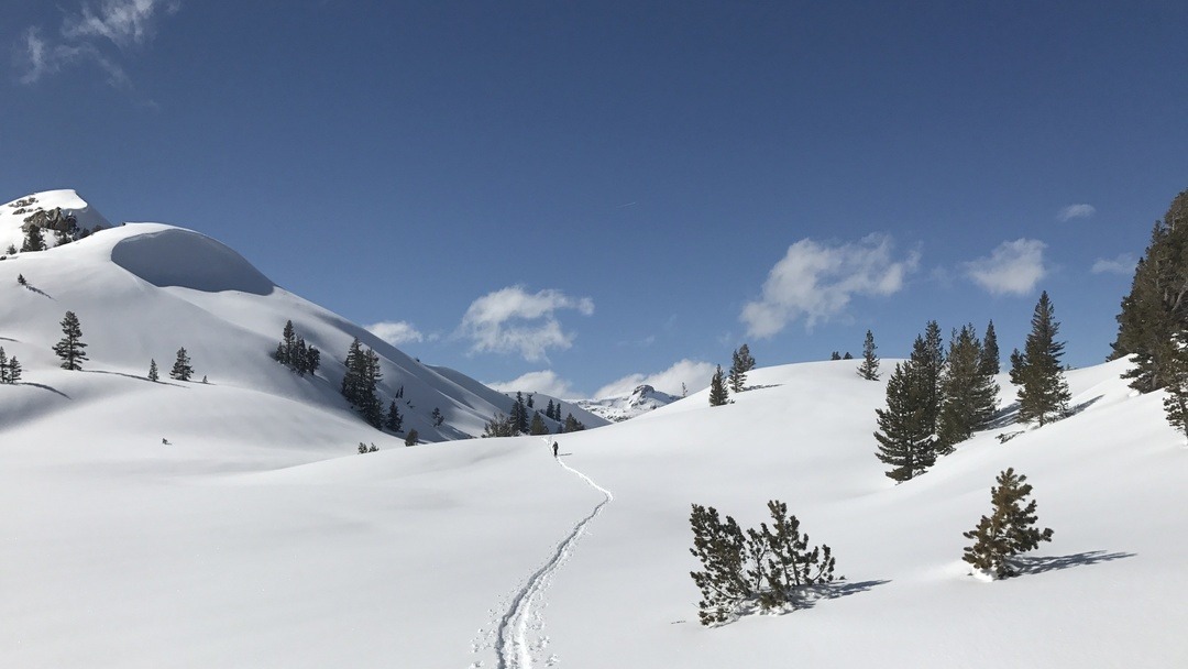 Why Snowpack in Yosemite is So Important — Yosemite Conservancy