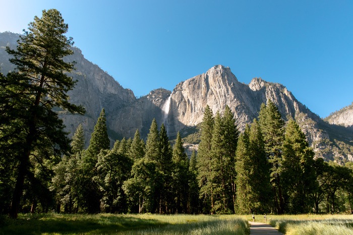 Custom Yosemite Trips — Yosemite Conservancy