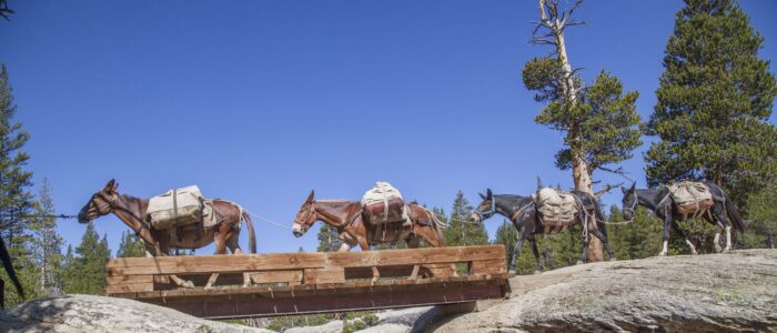 A Package Deal: Yosemite's Mule Packers — Yosemite Conservancy