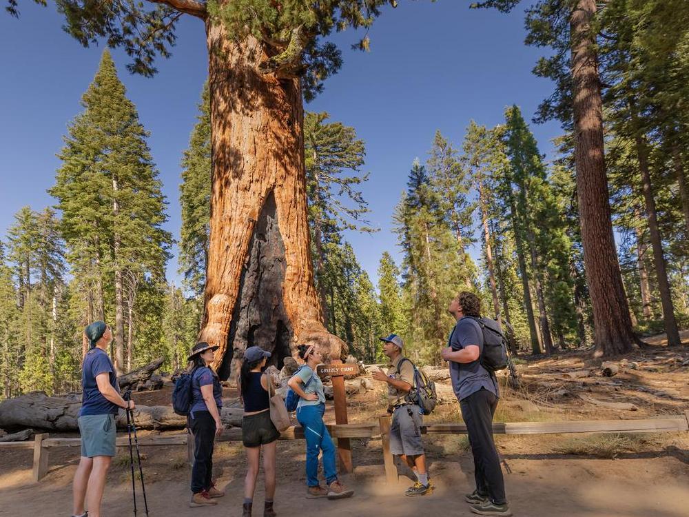 Stewardship Series — Yosemite Conservancy