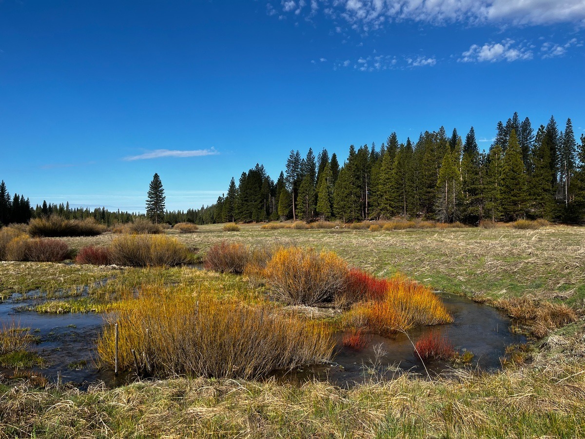 Stewardship Series — Yosemite Conservancy